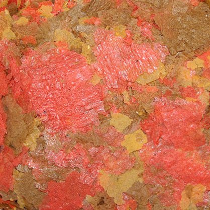 Fresh Water Flake – Aquarium Specialties PR